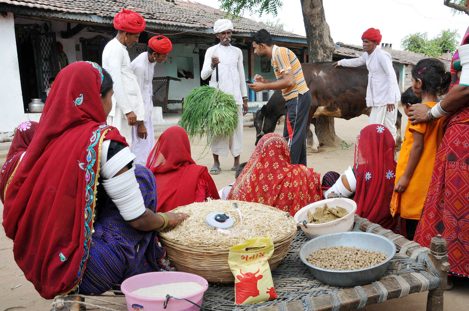 Livestock and Climate Resilience